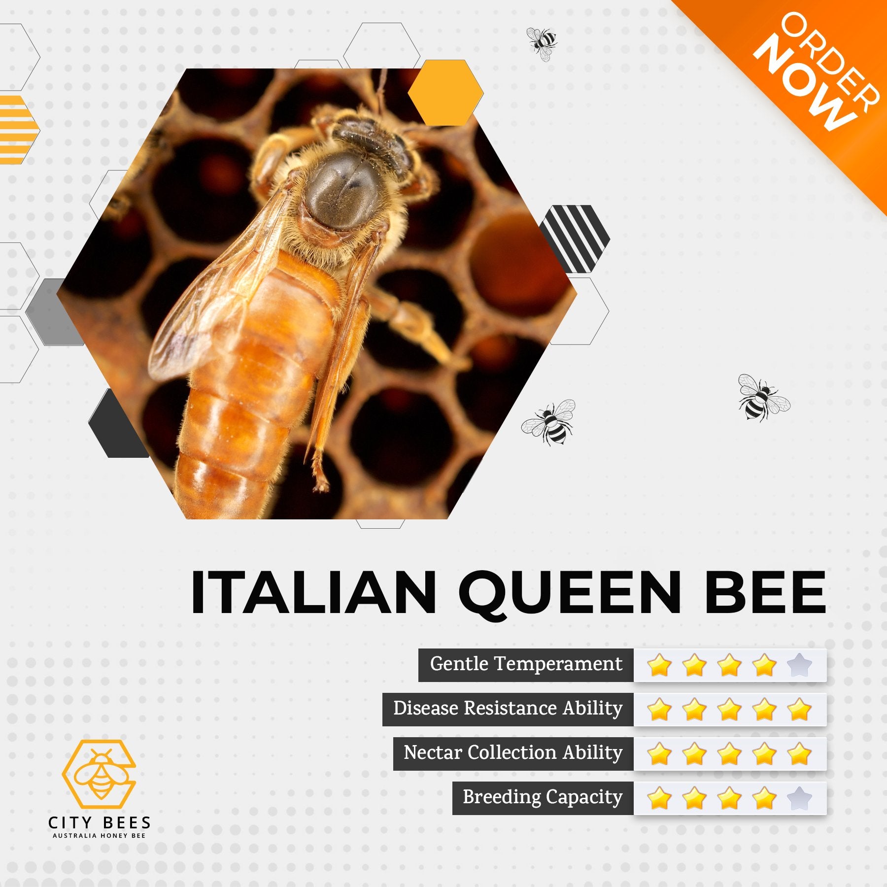 Italian Queen Bee – City Bee